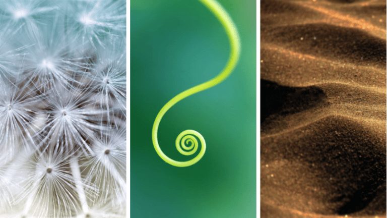 La nature est magique ! La preuve par 13 avec ces photos